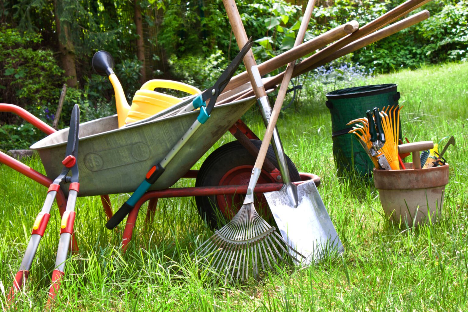 5 Tips for Easier Gardening Maintenance - Best Shopping Guide
